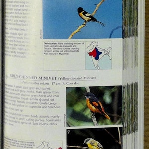 A Photographic Guide to the Birds of India by Bikram Grewal and Bill ...