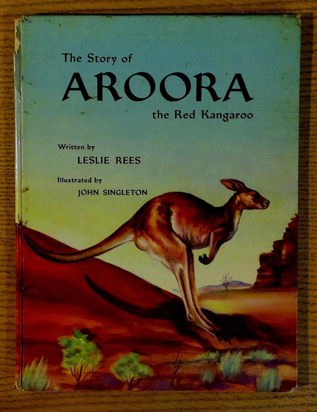 The Story of Aroora: the Red Kangaroo by Leslie Rees - Etsy