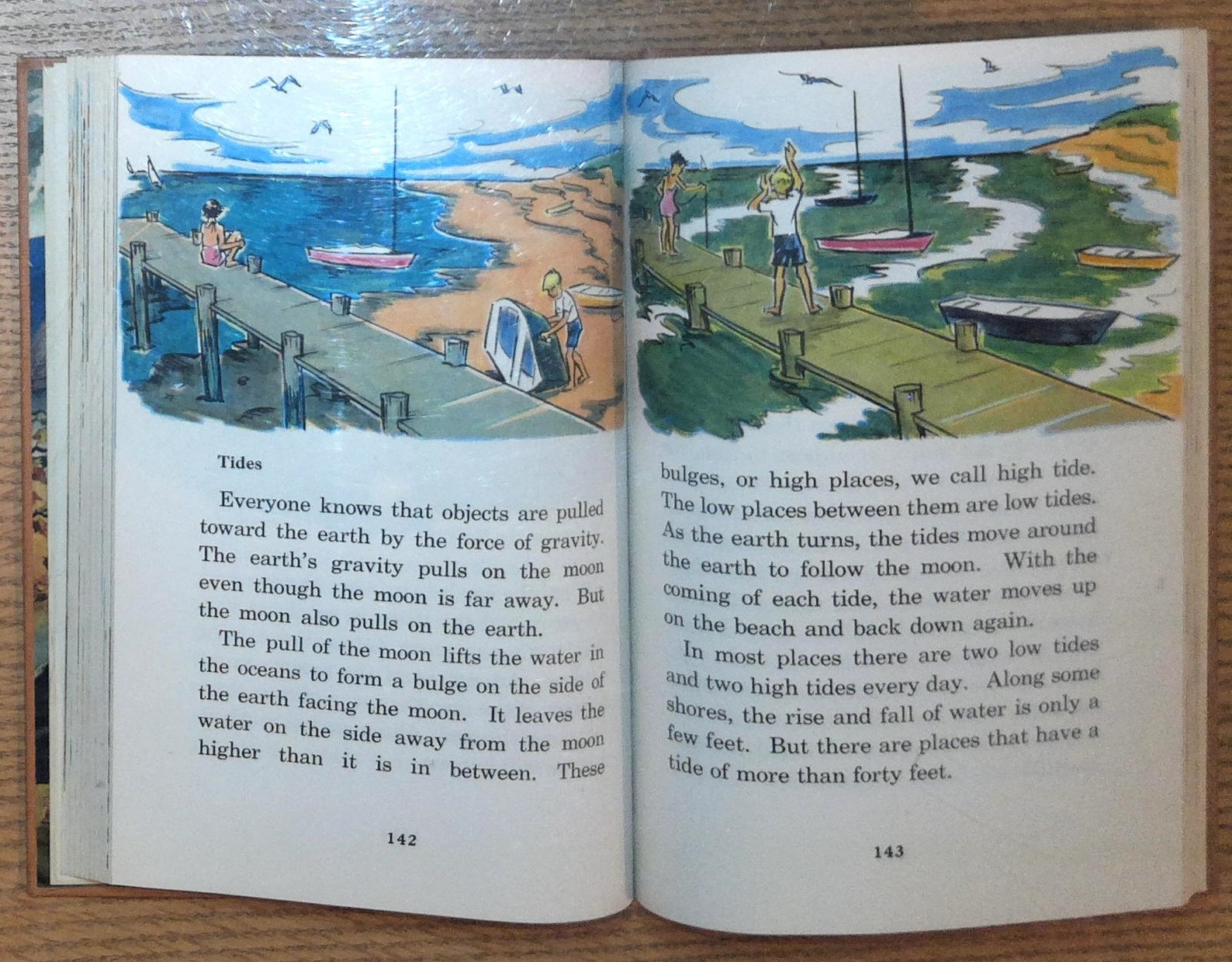 The Wonderworld of Science Book 4 (1950's Science Text Book) - Etsy