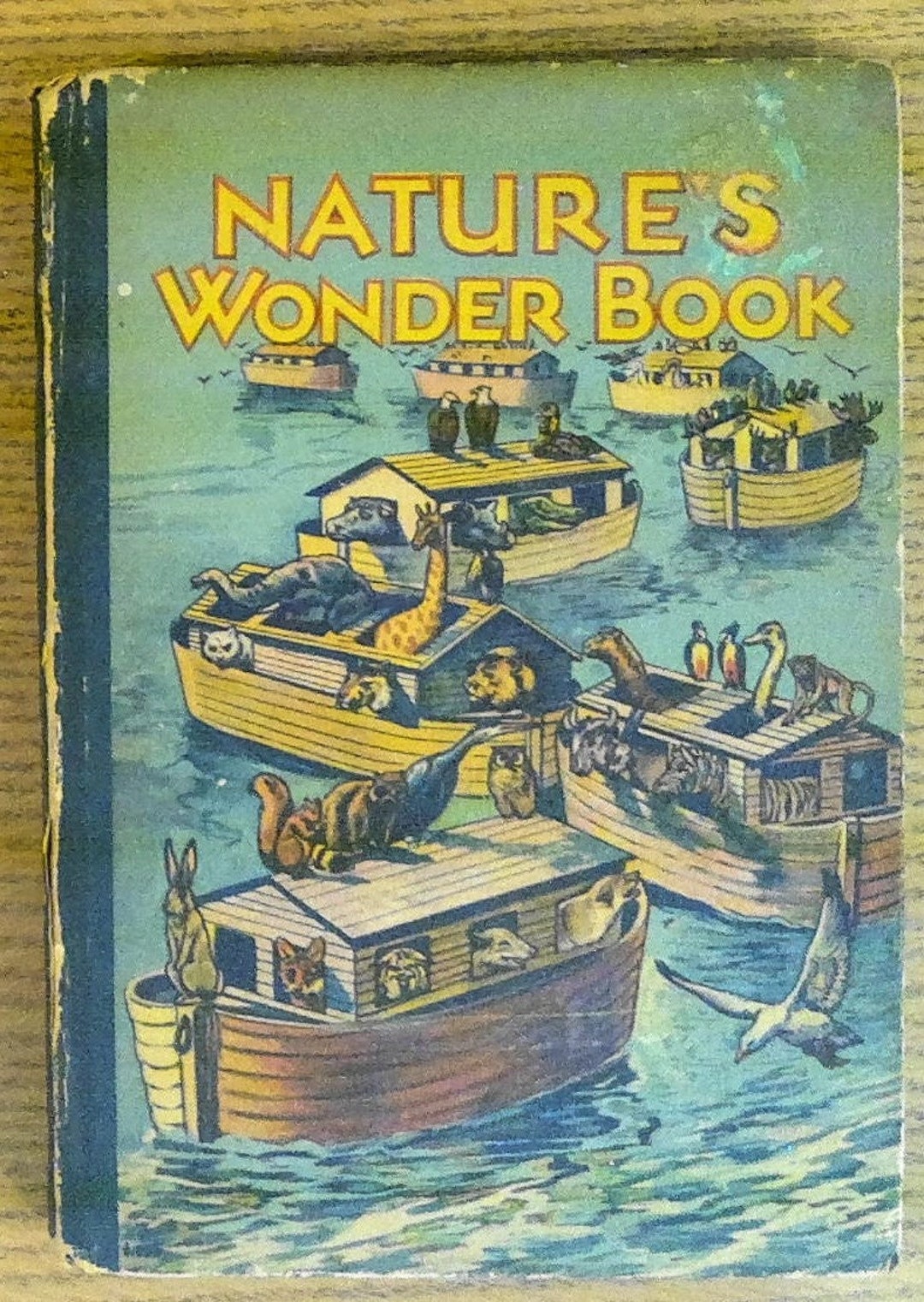 Nature's Wonder Book by William Ferguson - Etsy