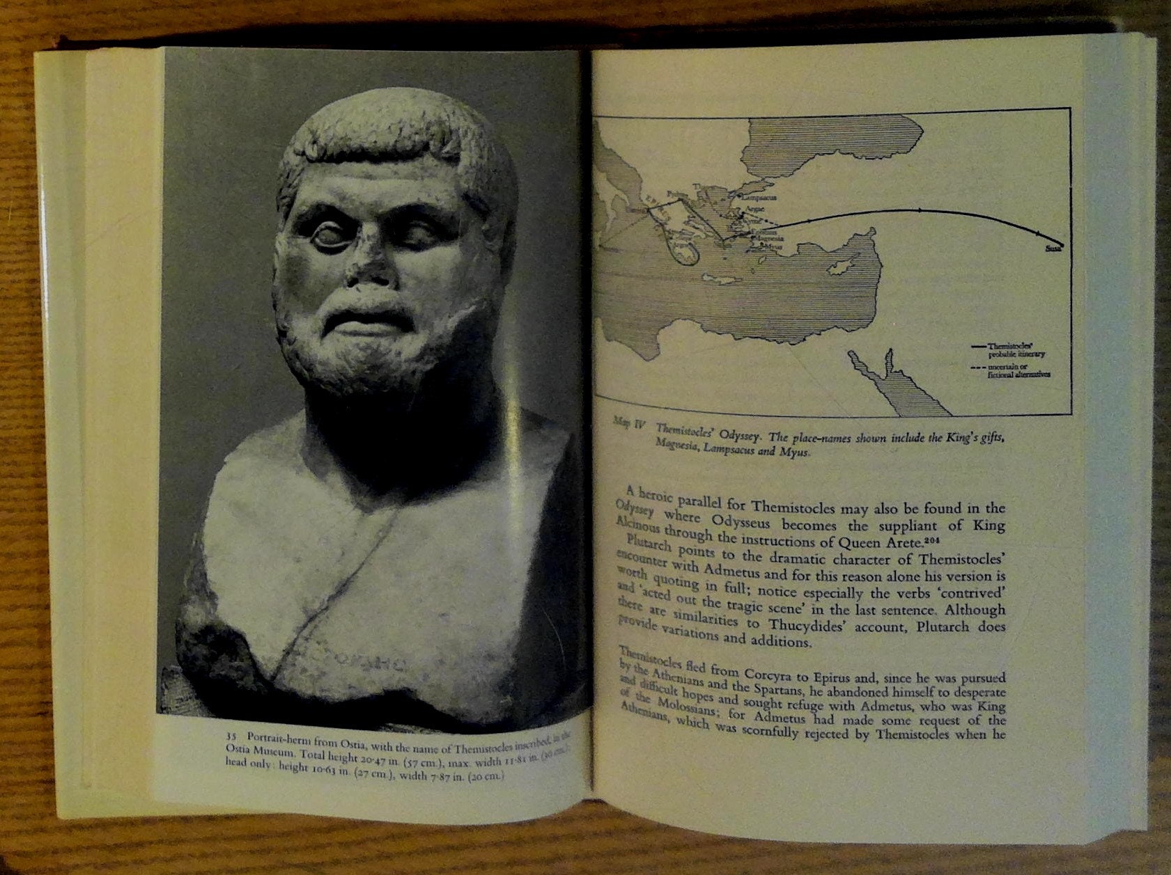 King Alcinous Portrait