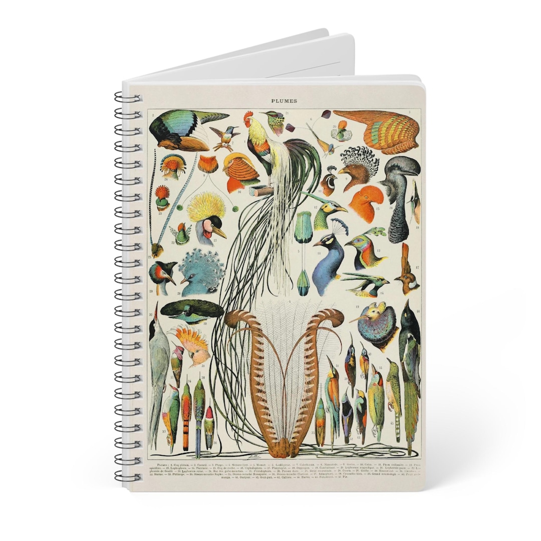 Feathers Notebook, A5 Journal for Bird Lovers, Lined Pages, Larousse ...