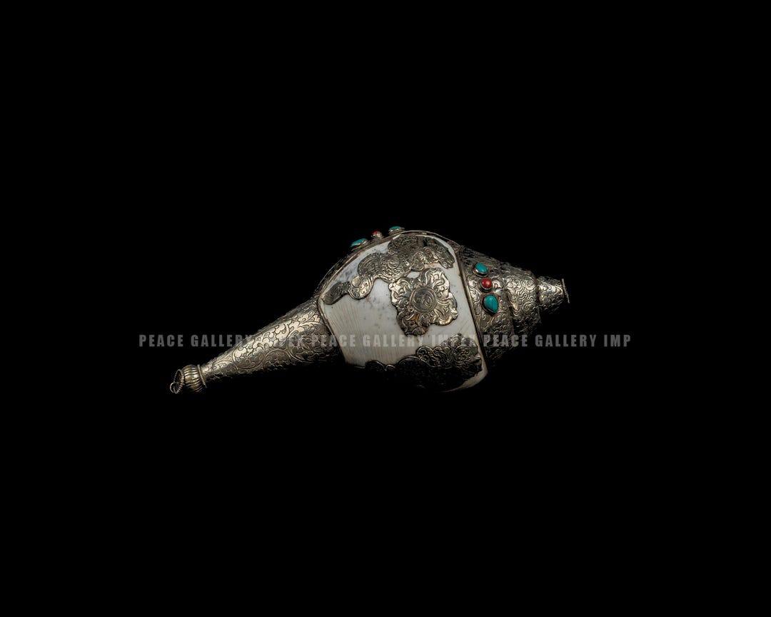 White Shankh Conch Shell – Hindu Prayer, Sound Healing, Vastu Gift - Etsy