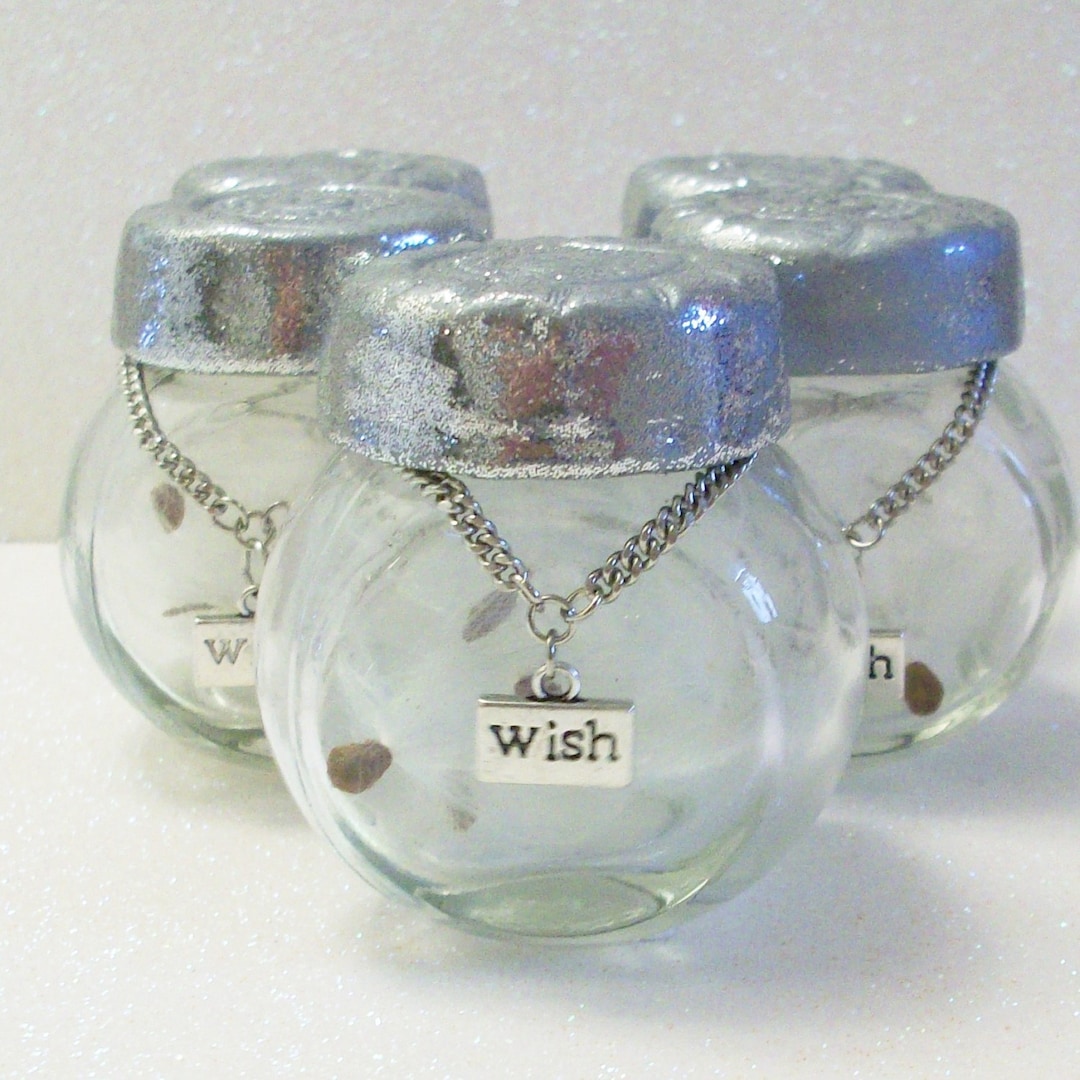 Silver Wish Jar With Charm and Milk Weed Wishes - Etsy