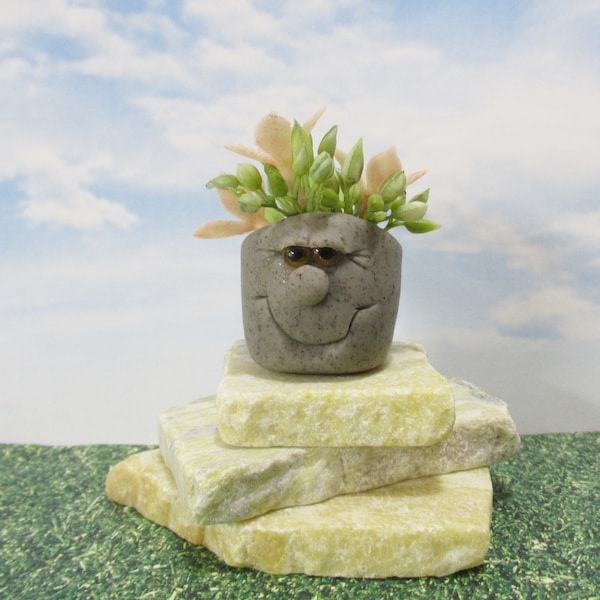 Rock Planter - Etsy