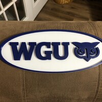 Custom College Embroidered Sweatshirt/hoodie and Comfort Colors® Shirt ...