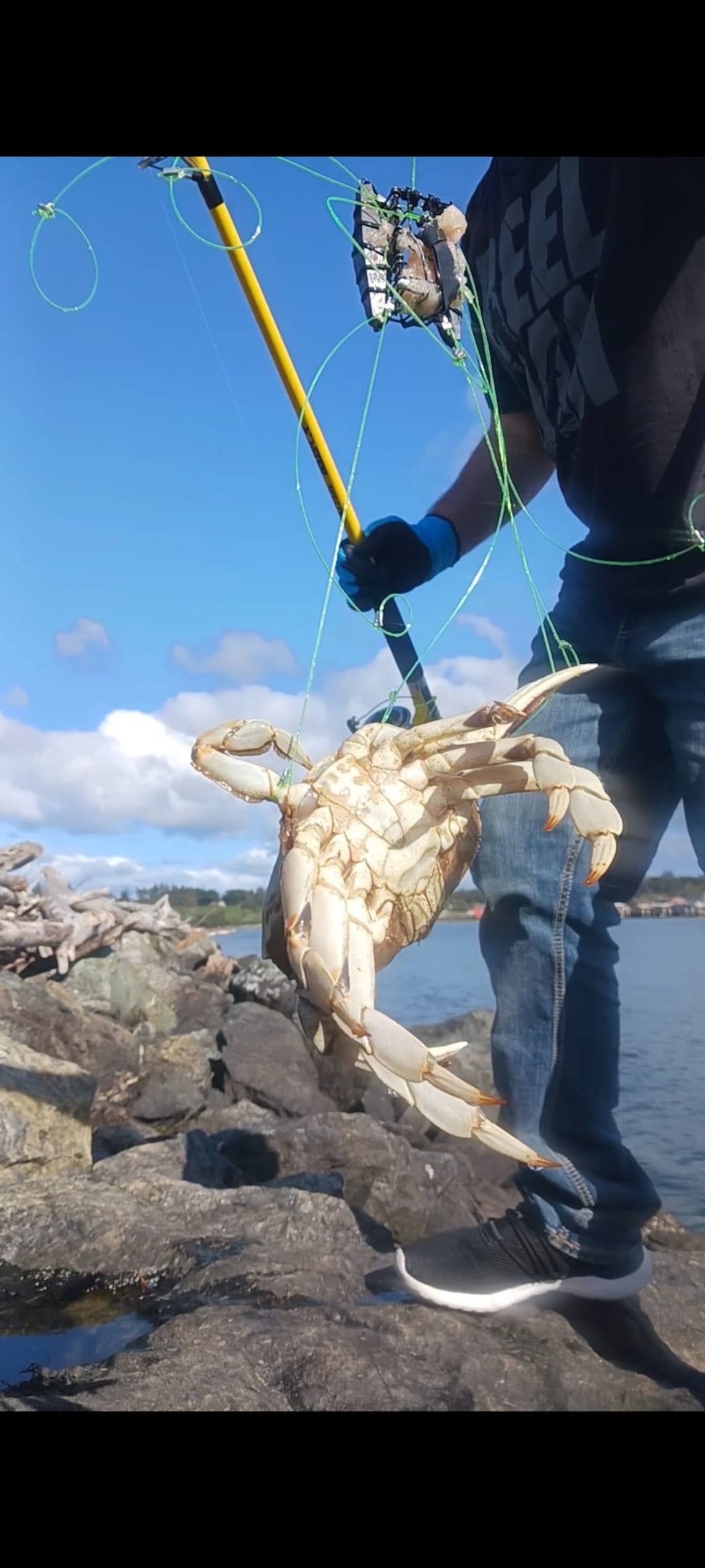 Stinson Crab Snare 10 Loop Submarine Pontoon With Bigger Stainless ...