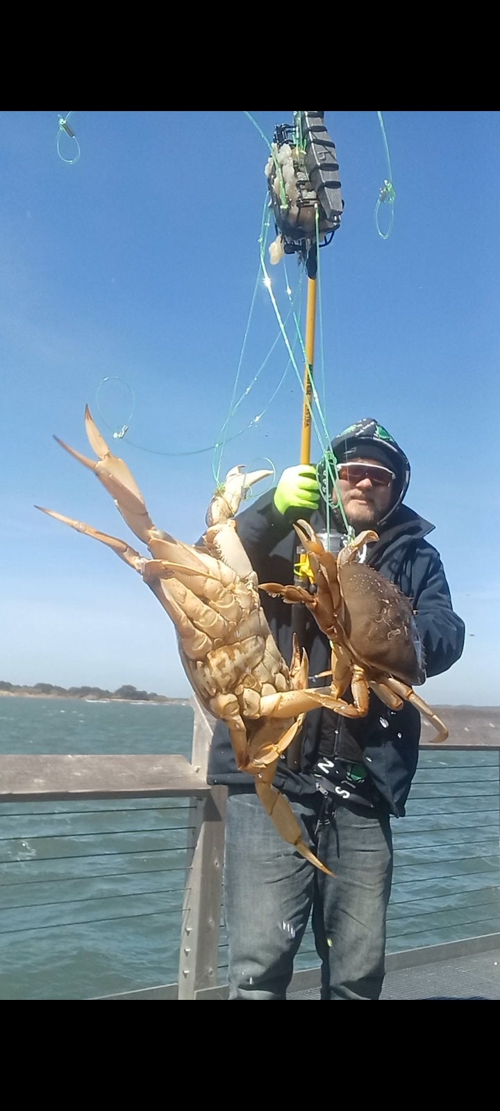 Stinson Crab Snare 10 Loop Submarine Pontoon With Bigger Stainless ...