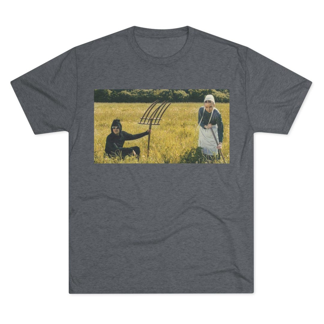 David in Amish Field Tshirt, Schitts Creek Shirt, Memes, Funny Tshirt ...