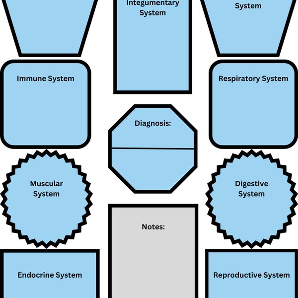 Body System Concept Map - Etsy