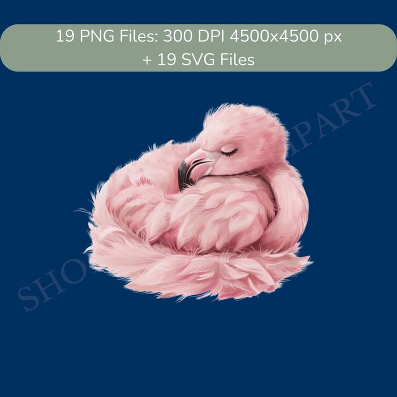 Pink Flamingo Baby Animal Clipart Cute PNG SVG Bundle Nursery Baby ...