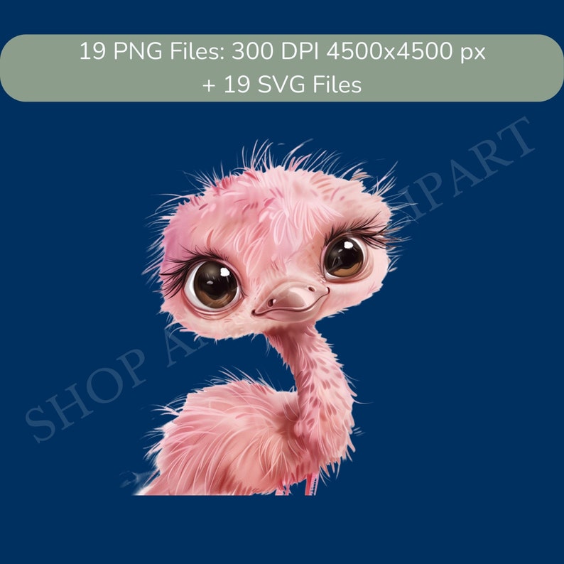 Pink Flamingo Baby Animal Clipart Cute PNG SVG Bundle Nursery Baby ...
