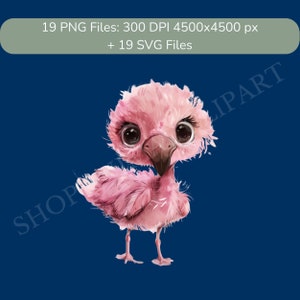 Pink Flamingo Baby Animal Clipart Cute PNG SVG Bundle Nursery Baby ...