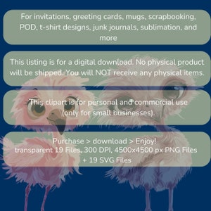 Pink Flamingo Baby Animal Clipart Cute PNG SVG Bundle Nursery Baby ...