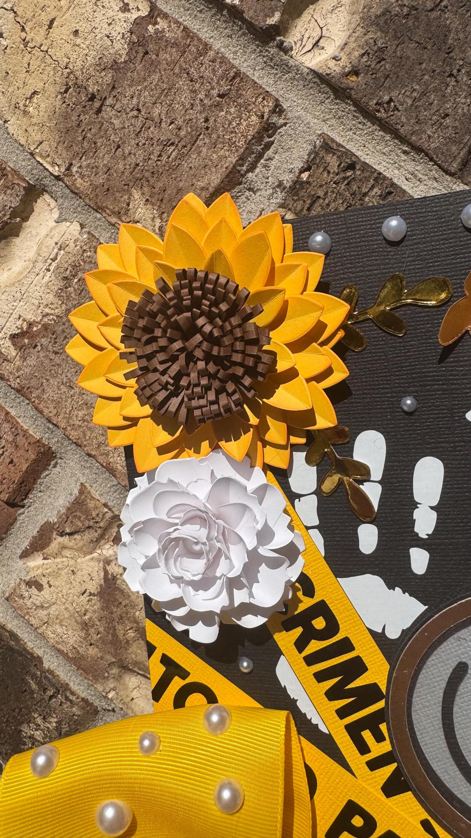 Forensic Science Grad Cap Topper Criminal Justice Custom Grad Cap ...