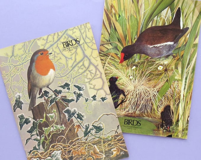 70s Birdwatching Magazine: Vintage Issue of the RSPB Birds Magazine ...