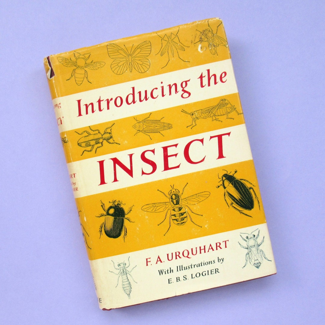 Introducing the Insect Vintage Nature Book Hardback, Illustrated Yellow ...