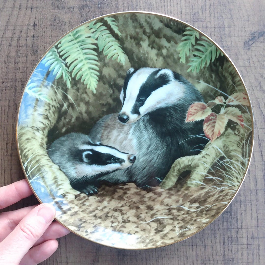 Badgers & Ferns Vintage Plate, the Forest Year, June, John Francis, the ...