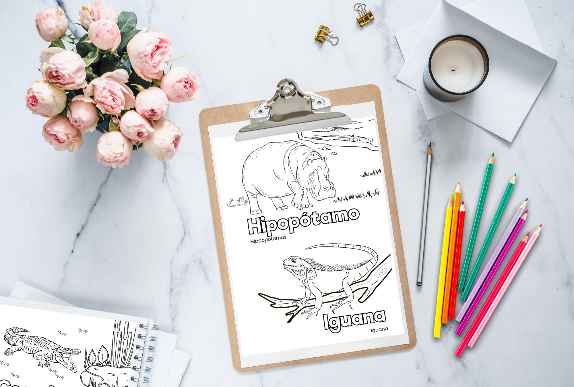A-Z Spanish Alphabet Animal Coloring Pages | Bilingual Animal ABC ...