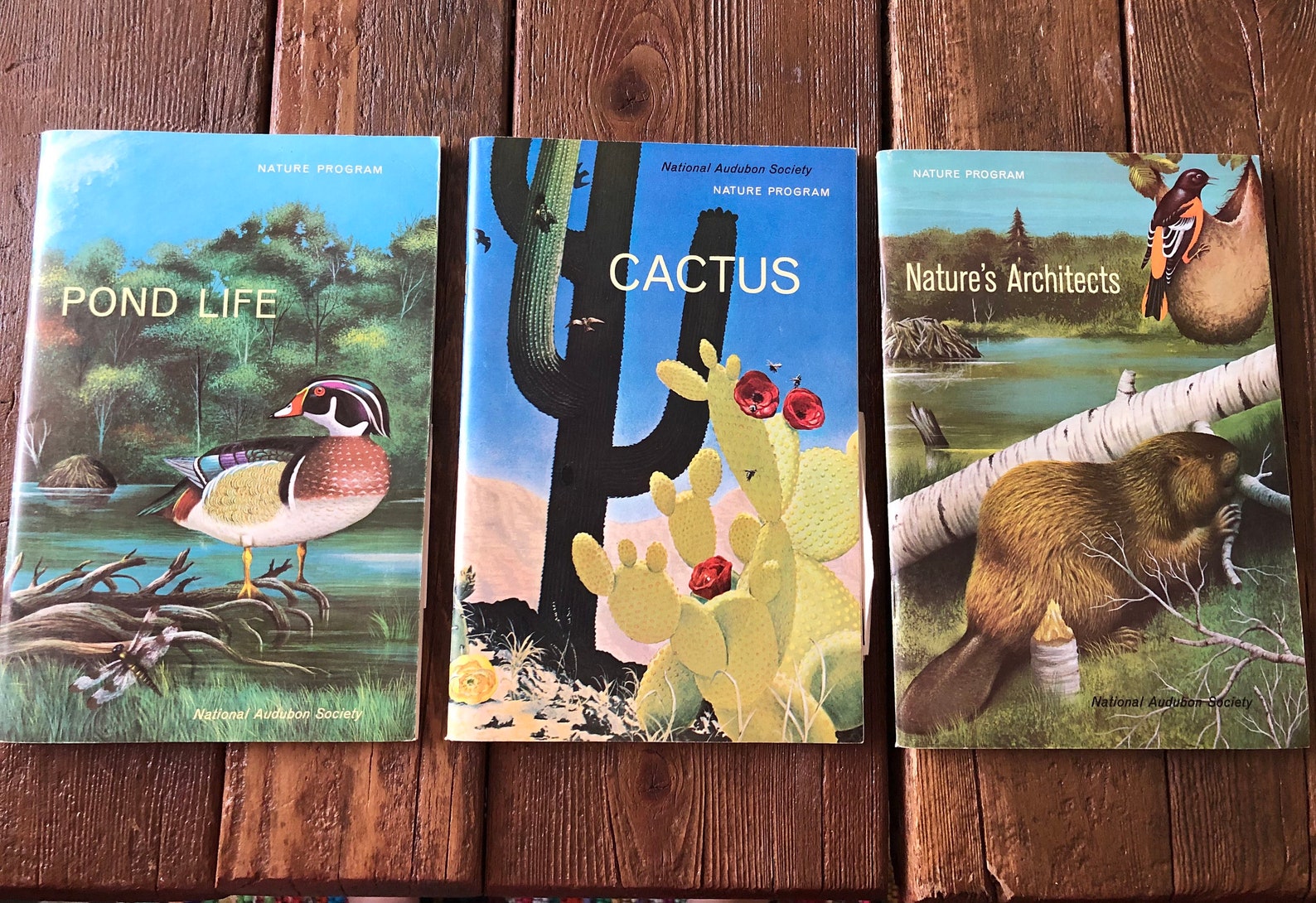 Vintage National Audubon Society Booklets - Tree & Insect Field Guide ...