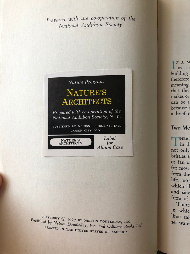 Vintage National Audubon Society Booklets Tree & Insect Field Guide ...
