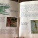 Vintage National Audubon Society Booklets Tree & Insect Field Guide ...