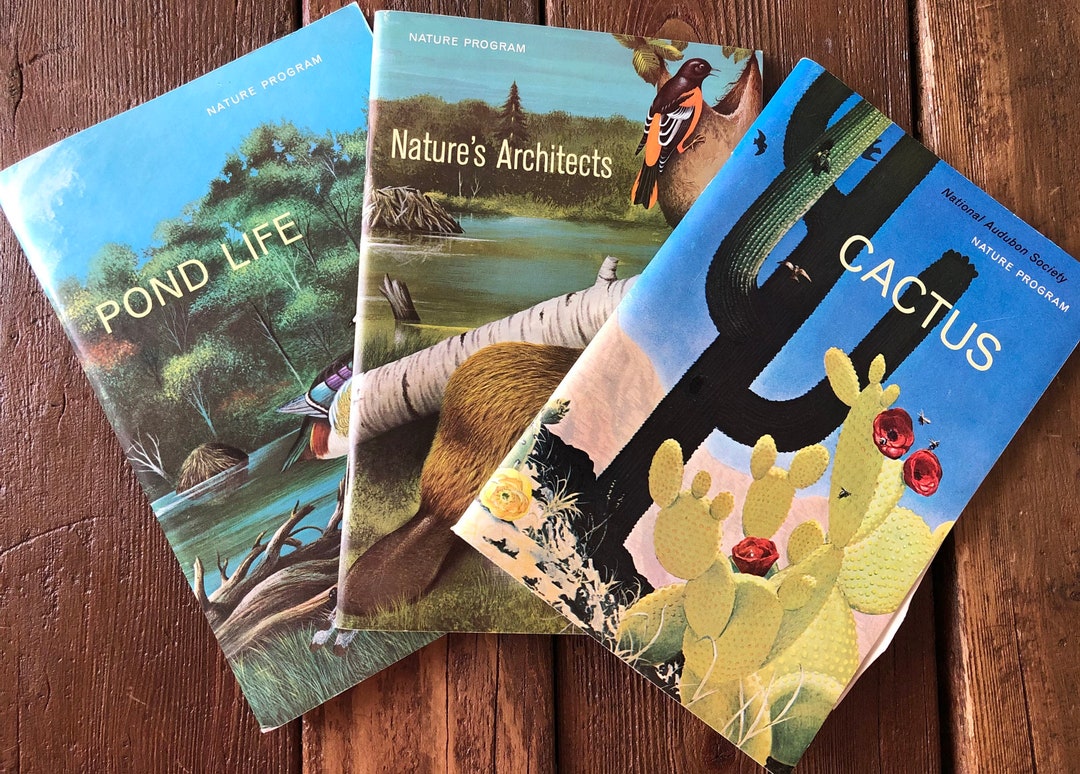 Vintage National Audubon Society Booklets - Tree & Insect Field Guide ...