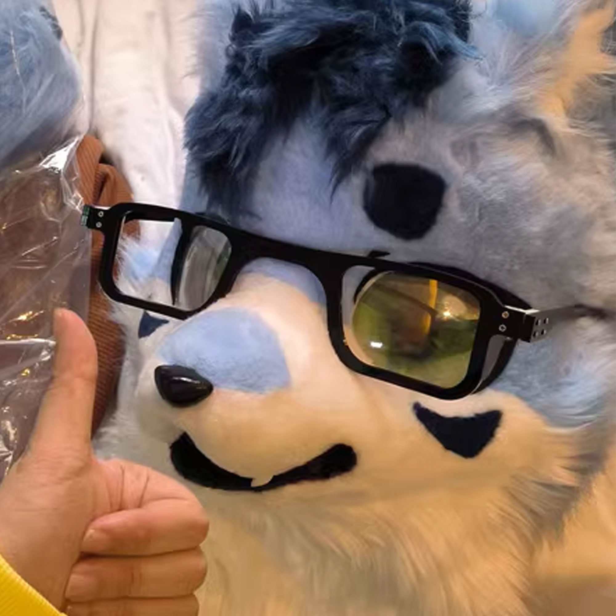 7 Colors Fursuit Glasses, Suare Fursuit Glasses, Round Glasses, Fursuit ...