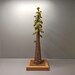 Majestic Sequoia Tree Diorama - Etsy
