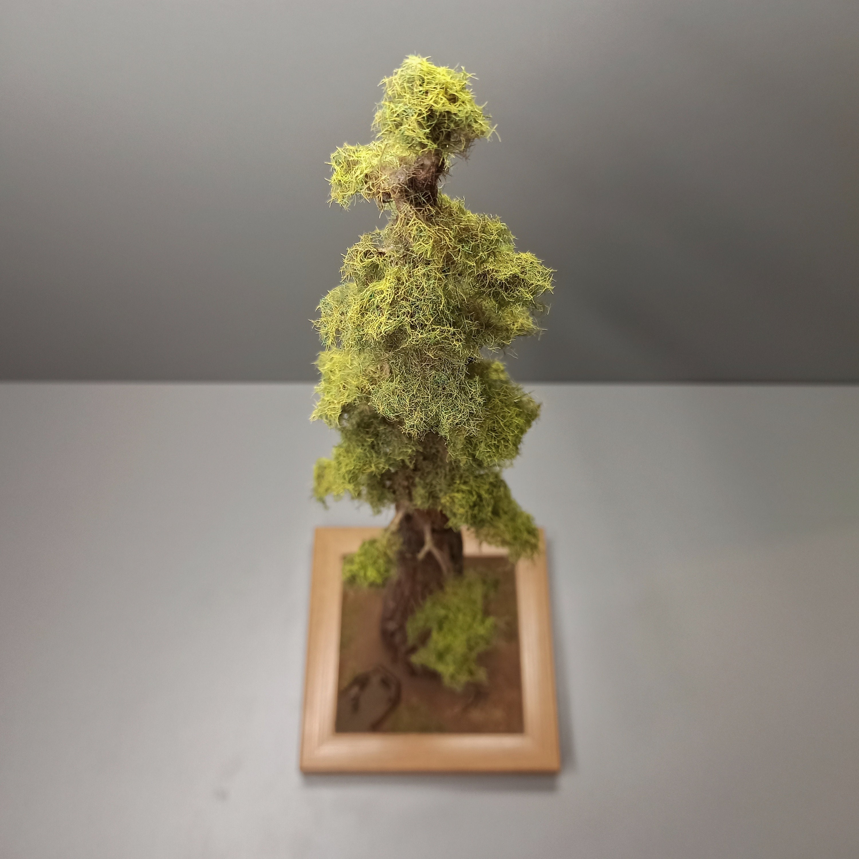 Majestic Sequoia Tree Diorama - Etsy
