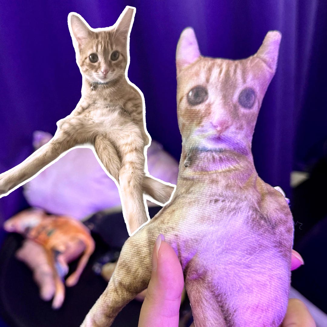 Custom Cat Photo Pillow: Funny 3D Pet Pillow, Cuddle Gift - Etsy