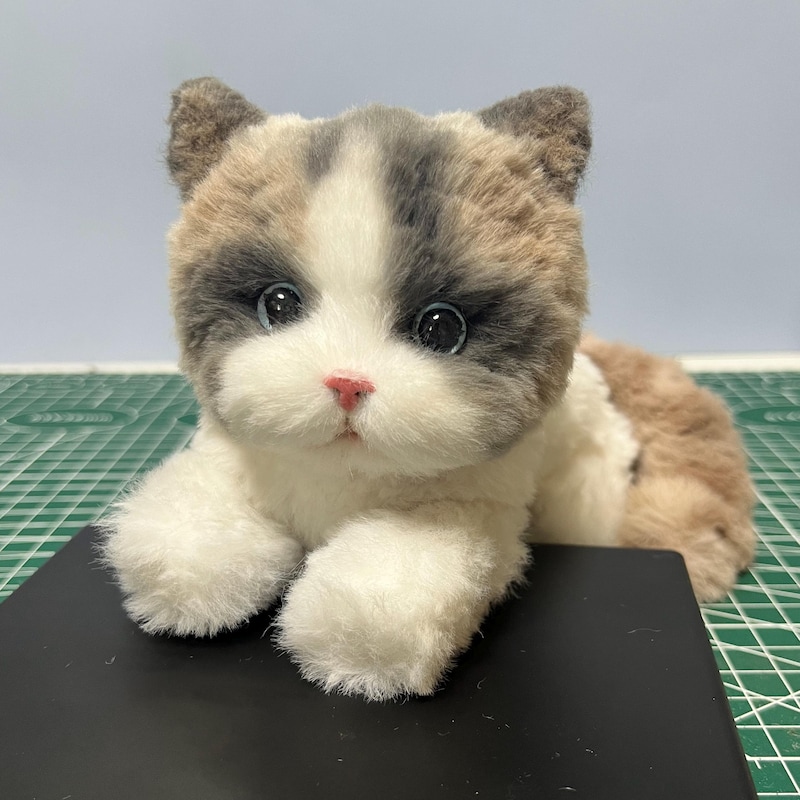 Realistic Cat Custom Plush - Etsy