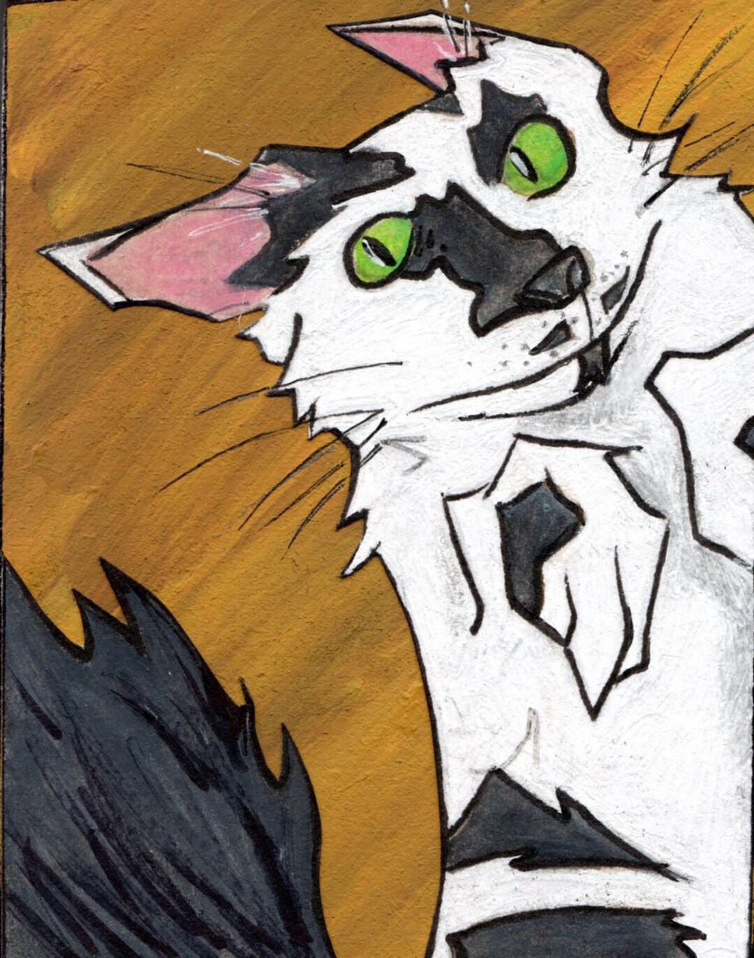 Storyblock- the Original Conjuring Cat - Etsy