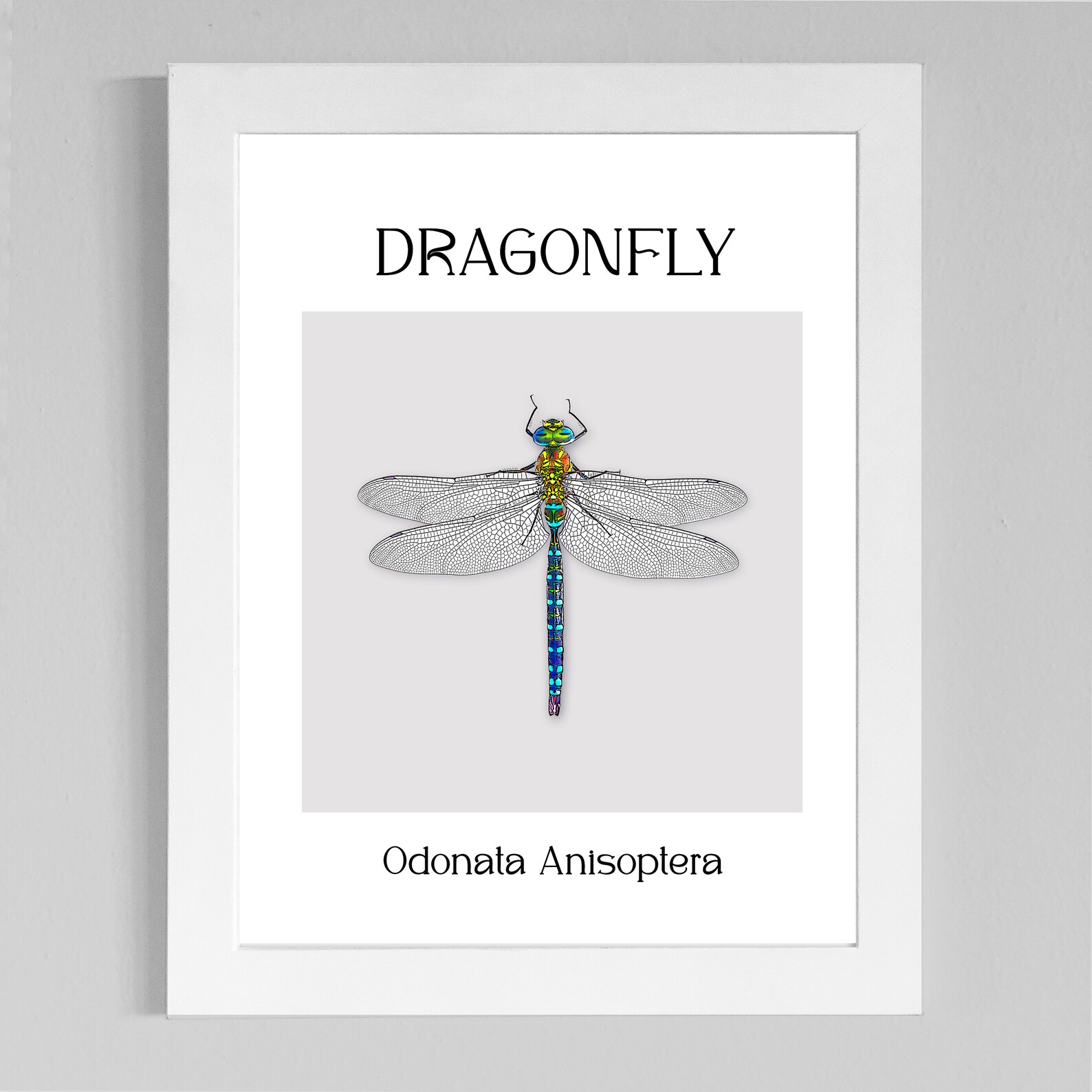 Printable Dragonfly Poster | Dragonfly Print | Dragonfly Art - Etsy