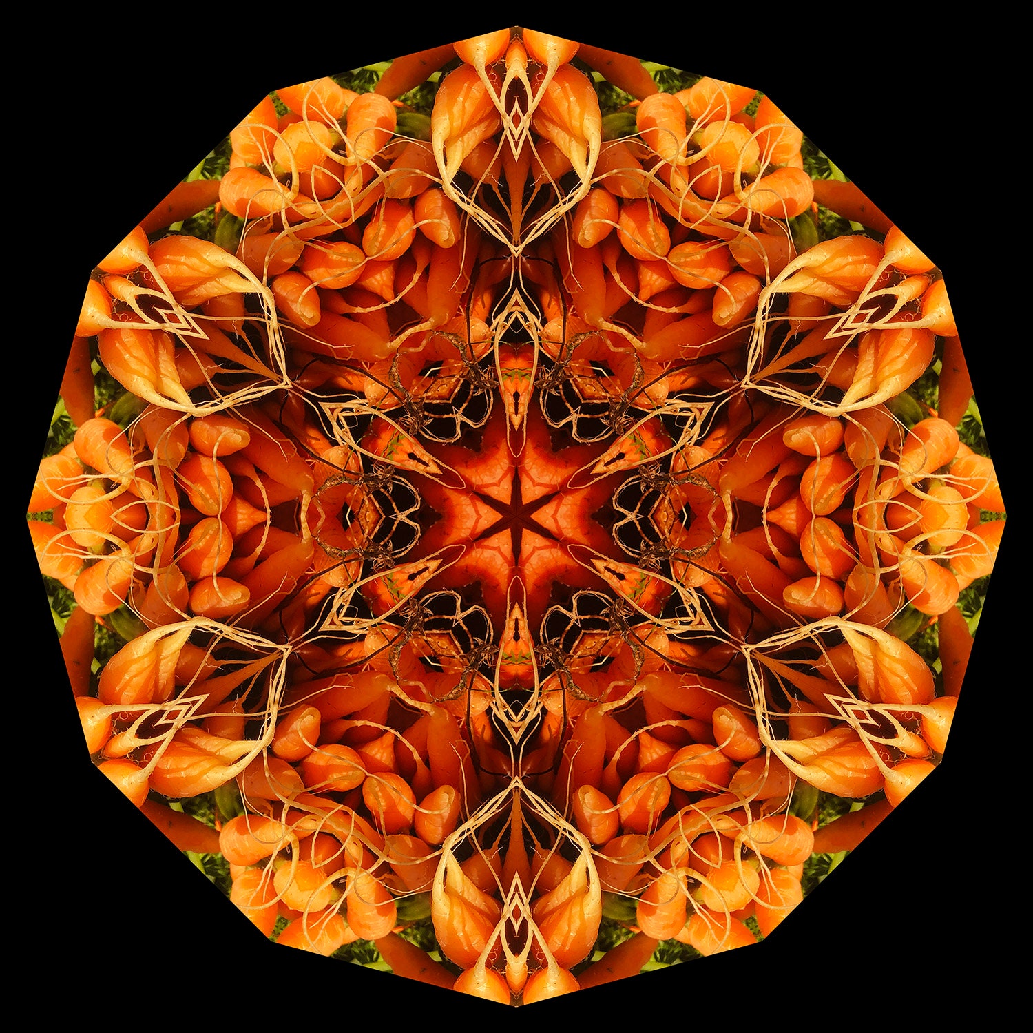 Kaleidoscope Maker Creator For Photoshop Etsy