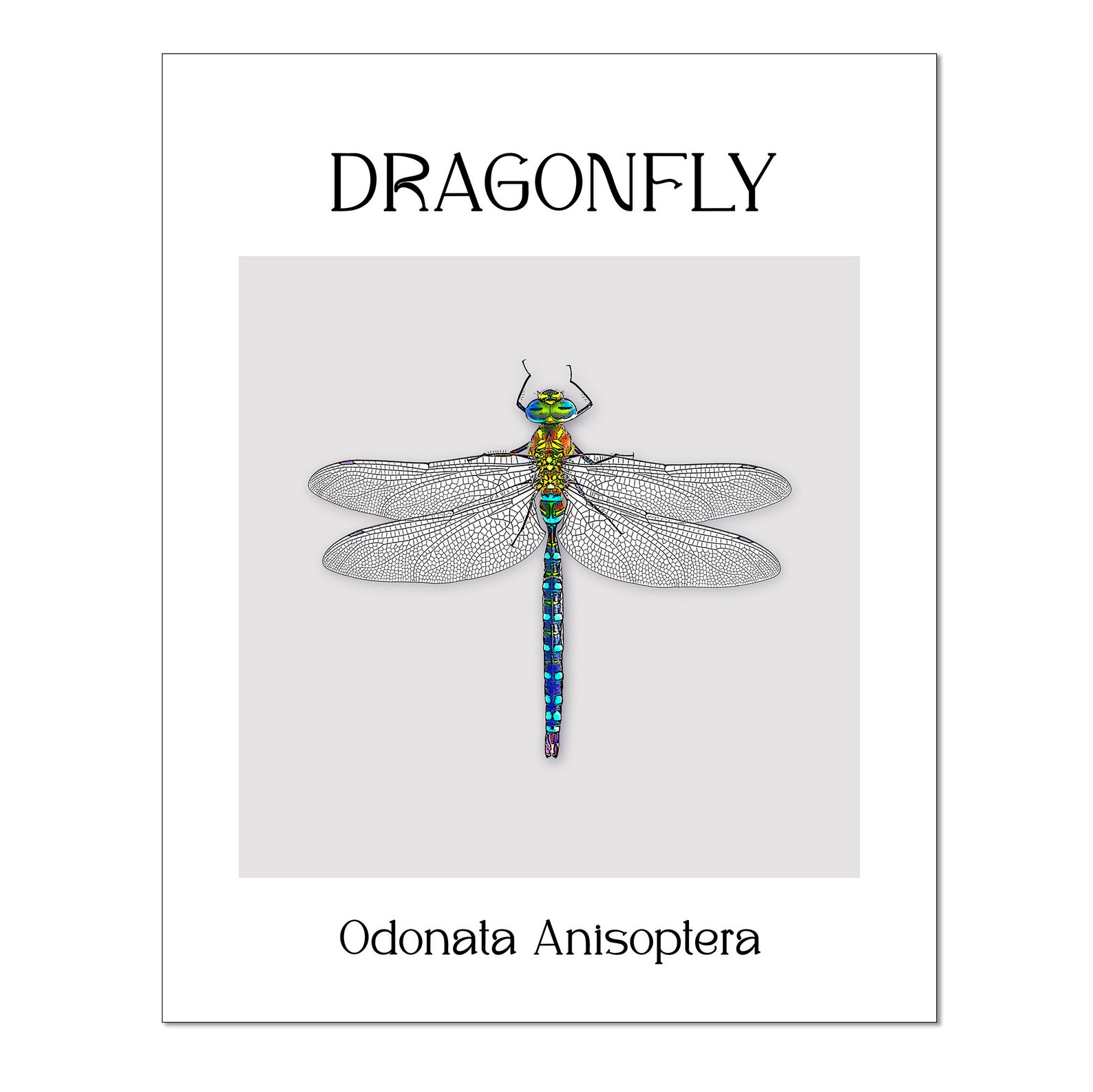 Printable Dragonfly Poster | Dragonfly Print | Dragonfly Art - Etsy