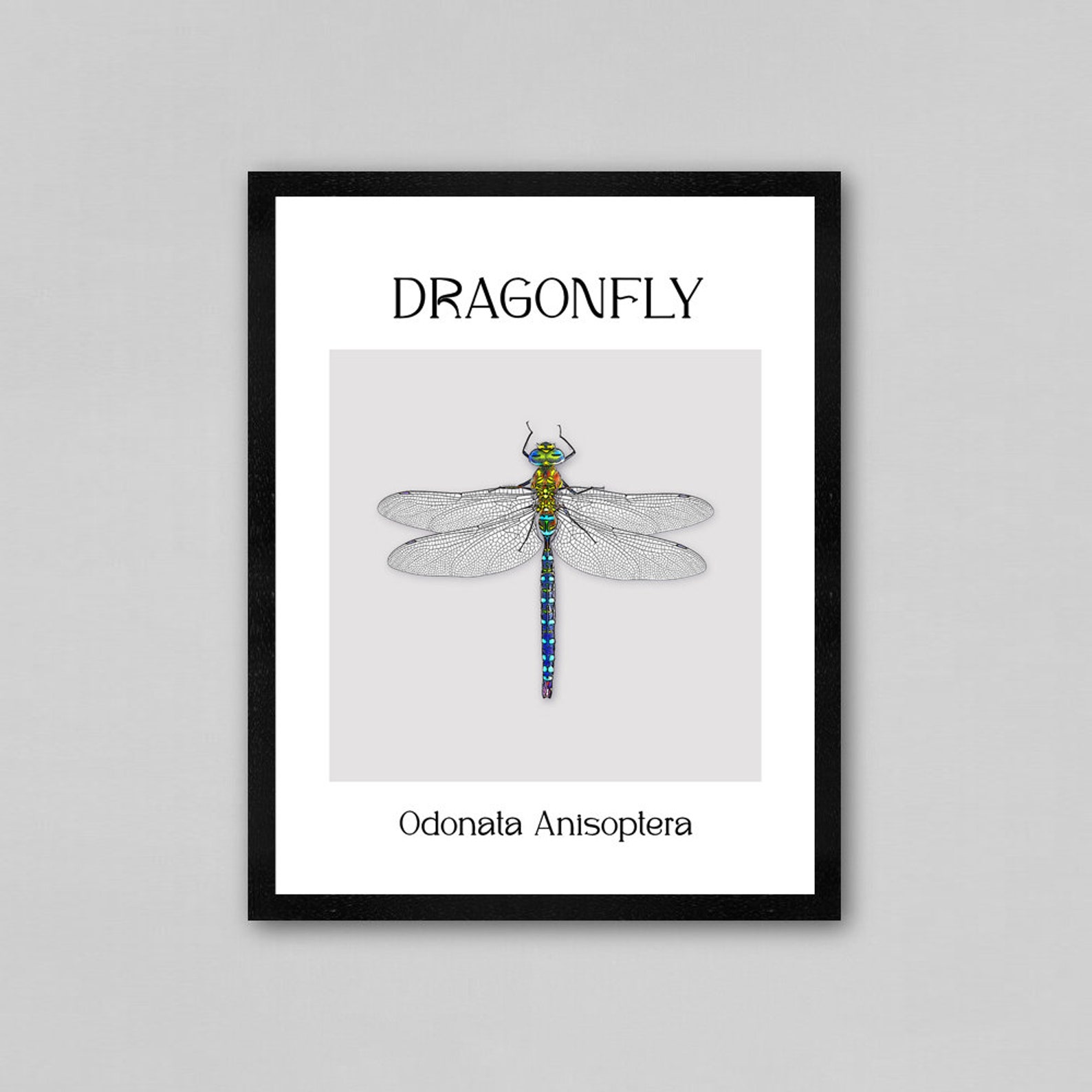 Printable Dragonfly Poster | Dragonfly Print | Dragonfly Art - Etsy