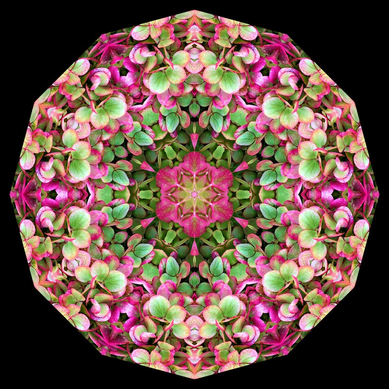 Kaleidoscope Maker Creator for Photoshop - Etsy