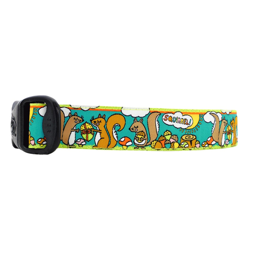Squirrel Dog Collars Acorn Dog Collars Nature Dog Collars 3 Dirty Dawgz ...