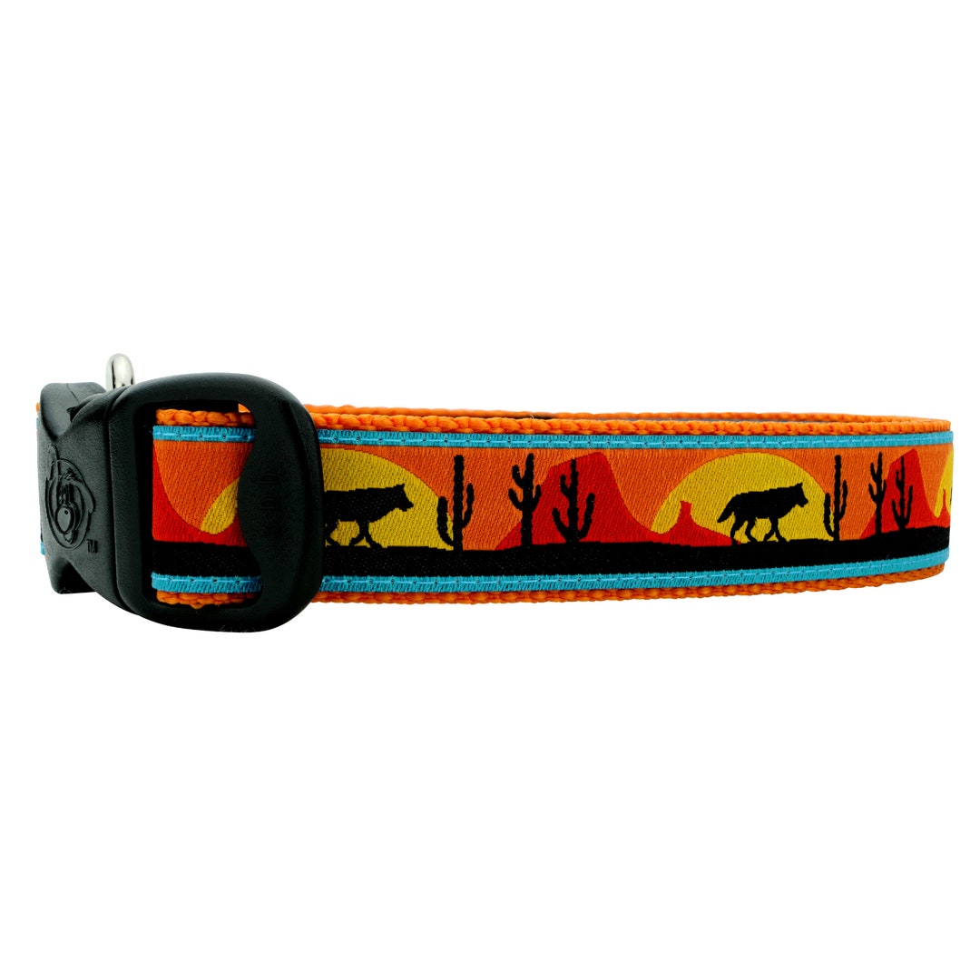 3 Dirty Dawgz Adjustable 1" Desert Coyote Cactus Southwest Dog Collars ...