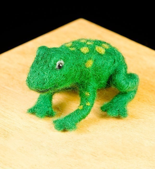Frog Needle Felting Kit - Etsy