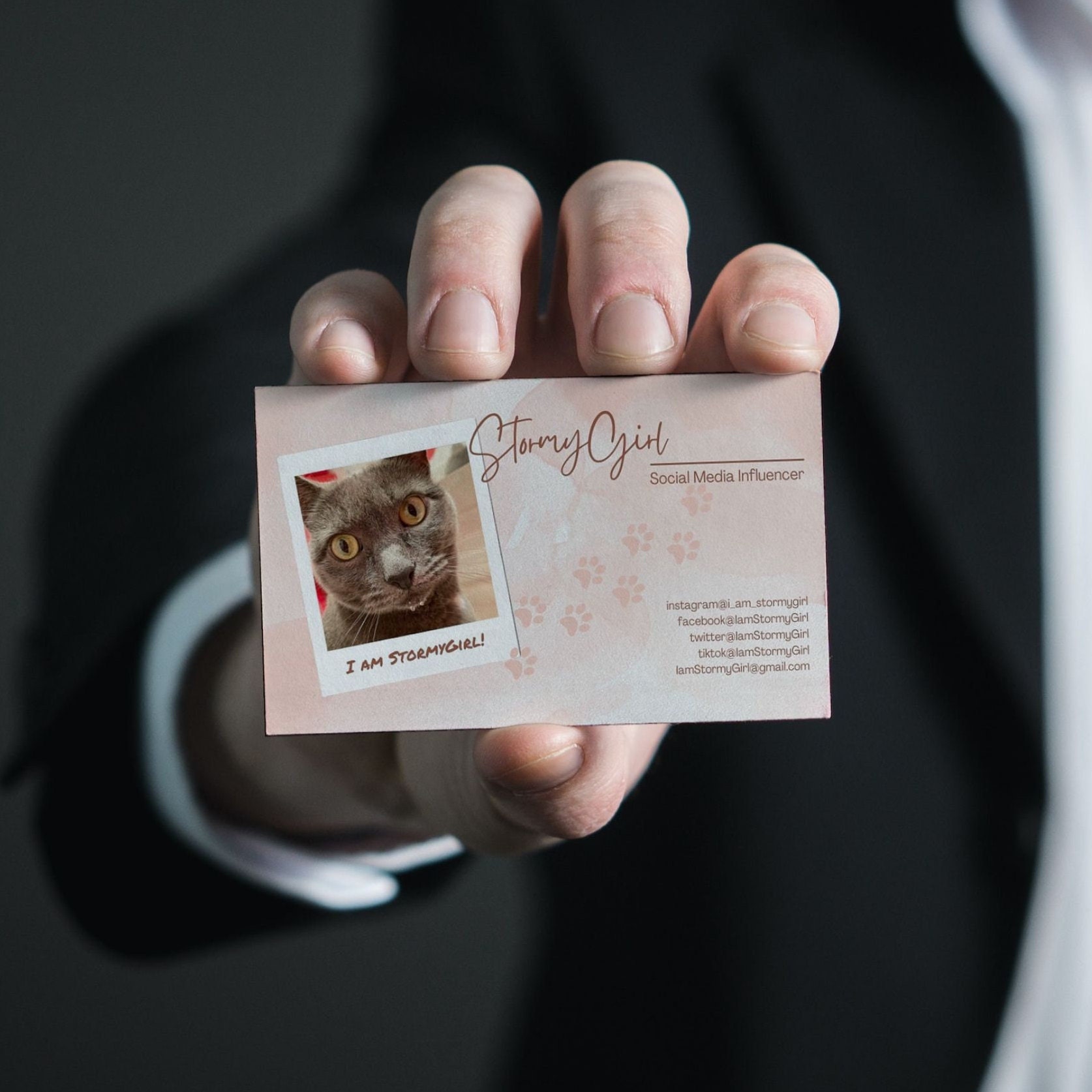 Cat/pet Influencer - 1 Sided Business Card Template - Editable Canva ...