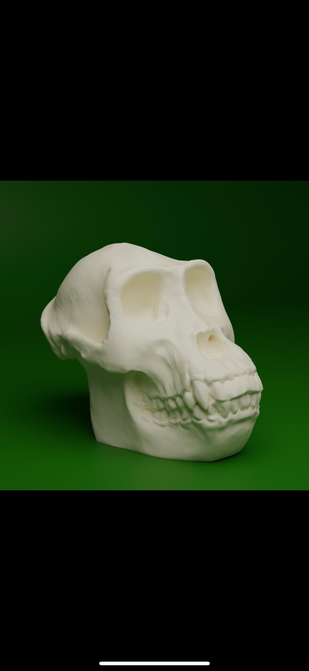 Gorilla Skull - Etsy
