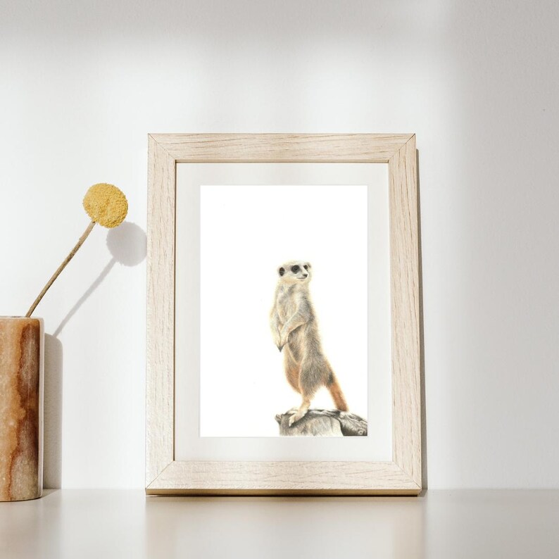 Meerkat Fine Art Print, Meerkat Drawing Print, Wildlife Portrait ...