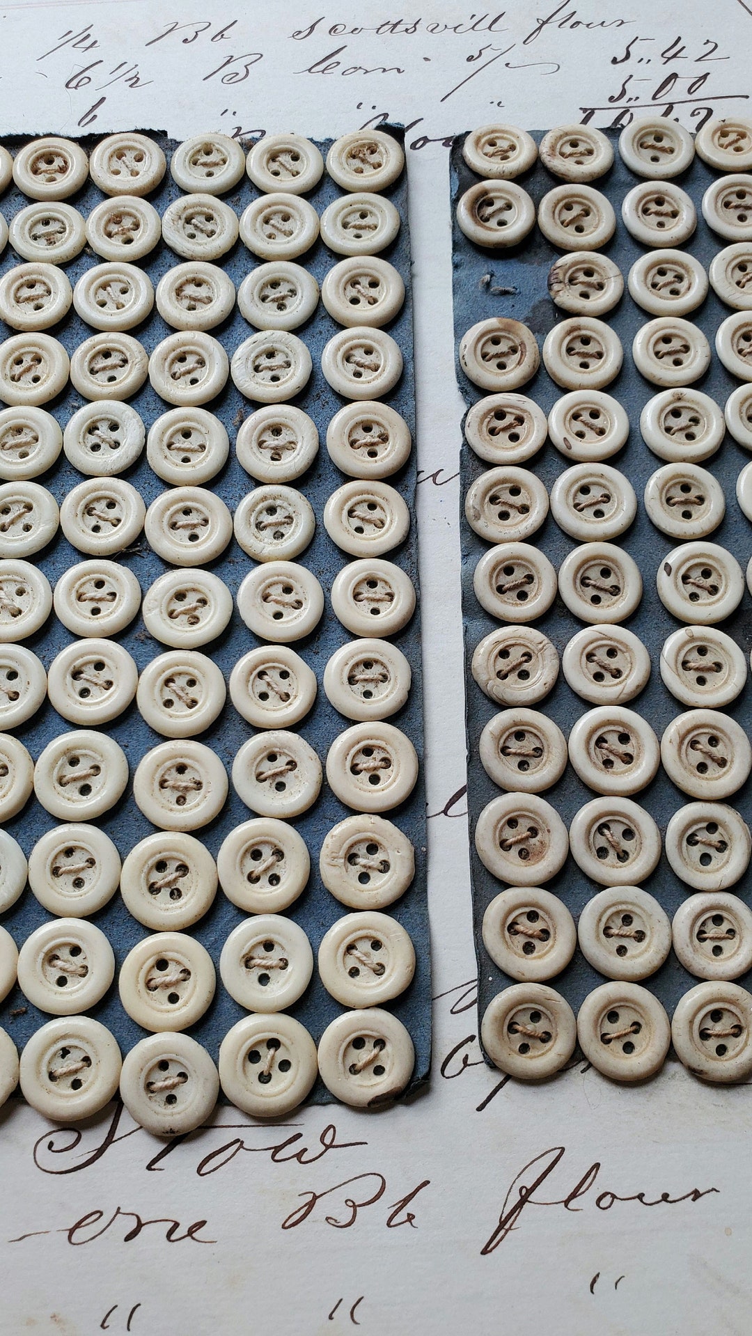 One Hundred Twenty (120) Antique Bone Underwear Buttons. Matching ...