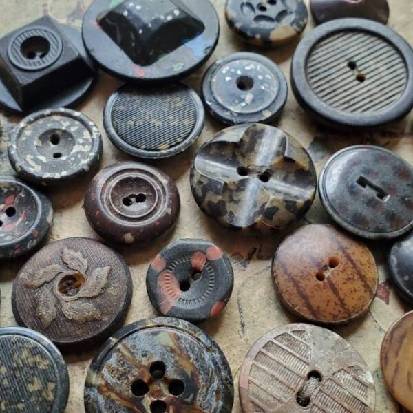 Antique Vegetable Ivory Buttons - Etsy