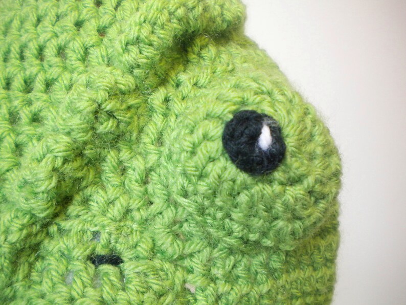 Crochet Chameleon Hat realistic lizard crochet beanie | Etsy