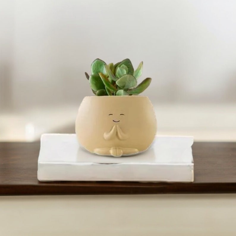 Happy Face Planter Smiling Yoga Plant Pot Cute Desk Planter for Office ...