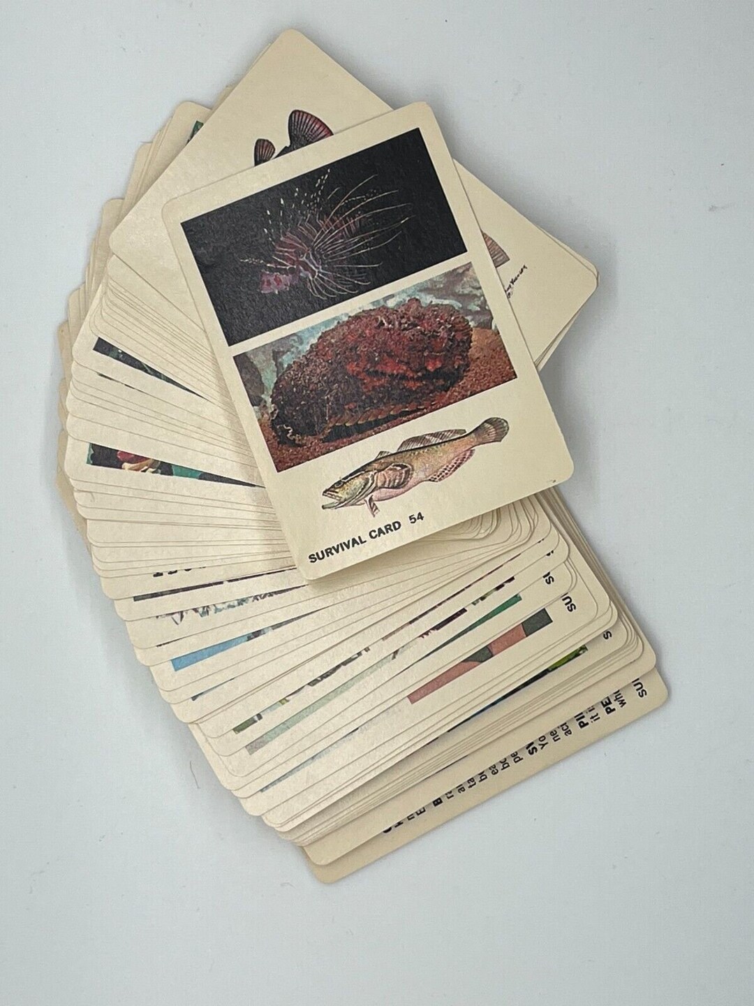 US Military Survival 56 Card Deck for South East Asia April 1968 GTA 21 ...