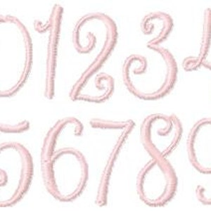 1" Carried Away Embroidery Font Bold Script Numbers Included ...
